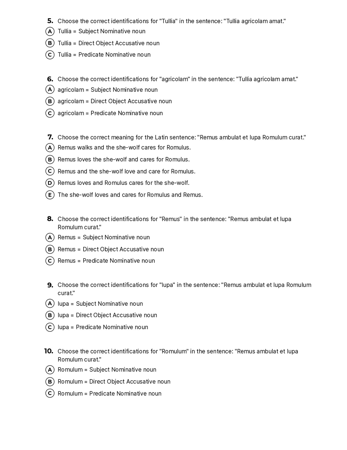 Identify The Nominative And Accusative In Latin Sentences Mc – Quiz Shop